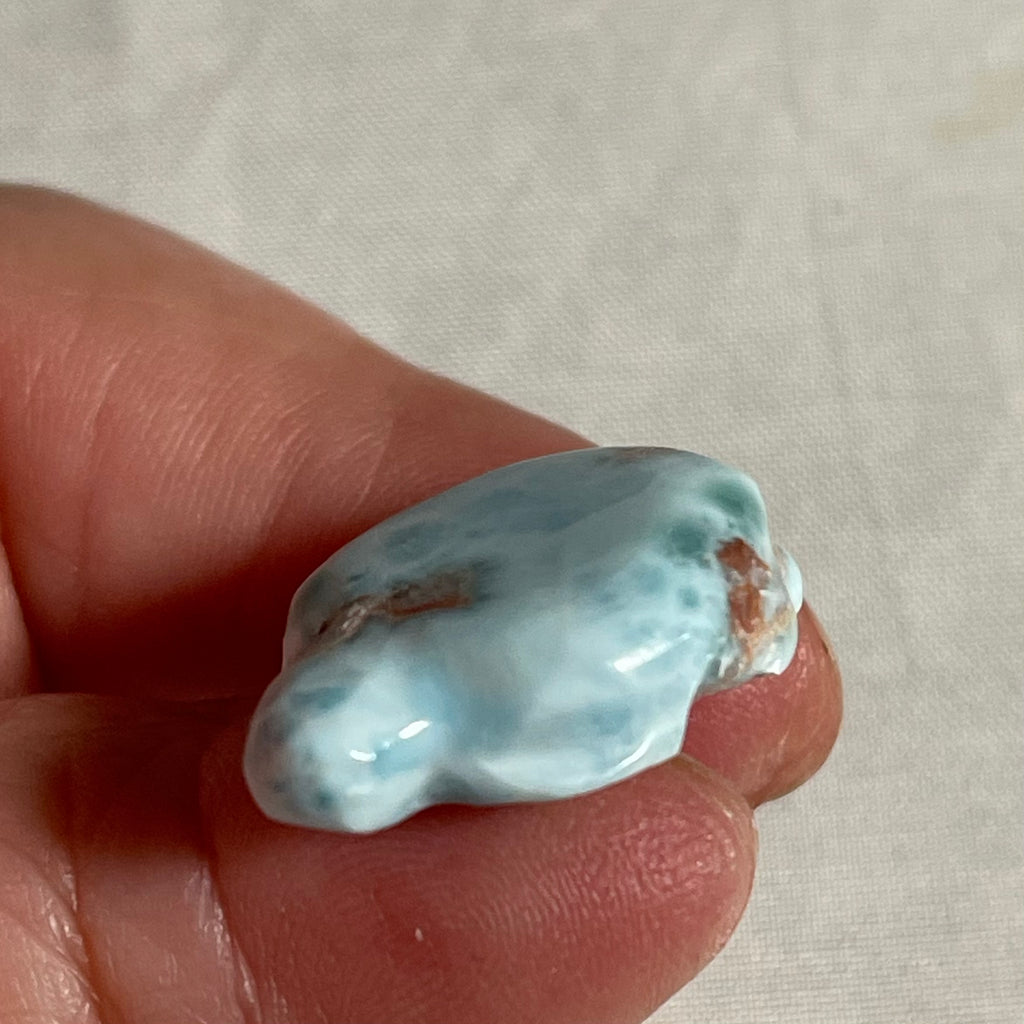 Larimar Turtle – Crystals and Pearls Australia