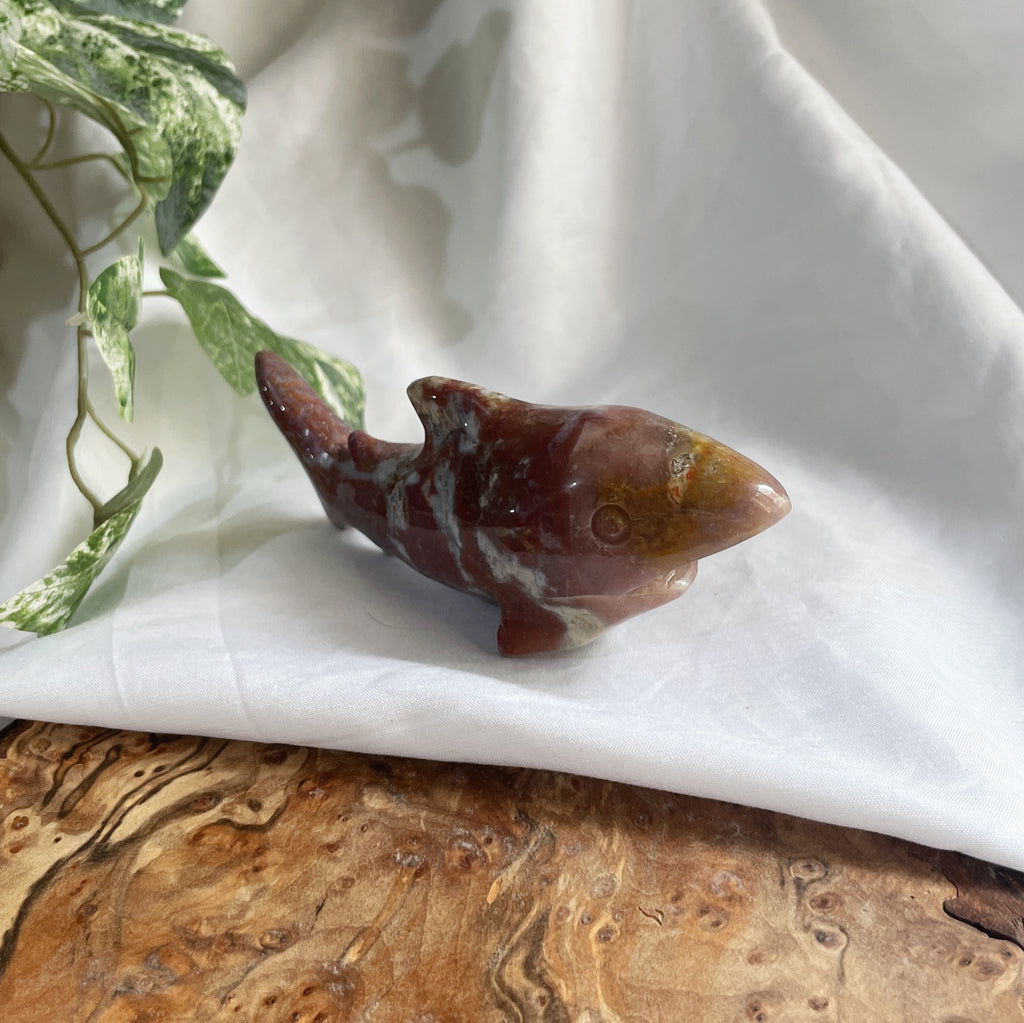 Ocean Jasper Shark – Crystals and Pearls Australia
