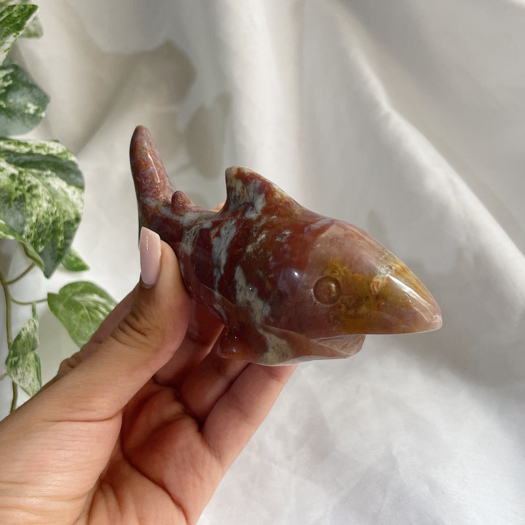 Ocean Jasper Shark – Crystals and Pearls Australia