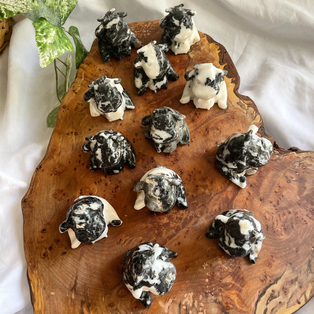 Zebra Jasper Cows – Crystals and Pearls Australia