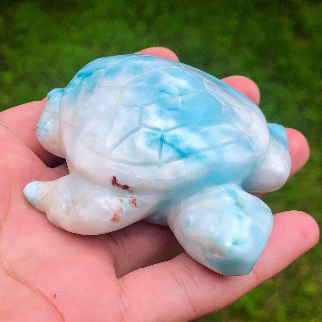 Larimar Carved Turtle Crystaluxe 'AAA' Grade – Crystals and Pearls ...